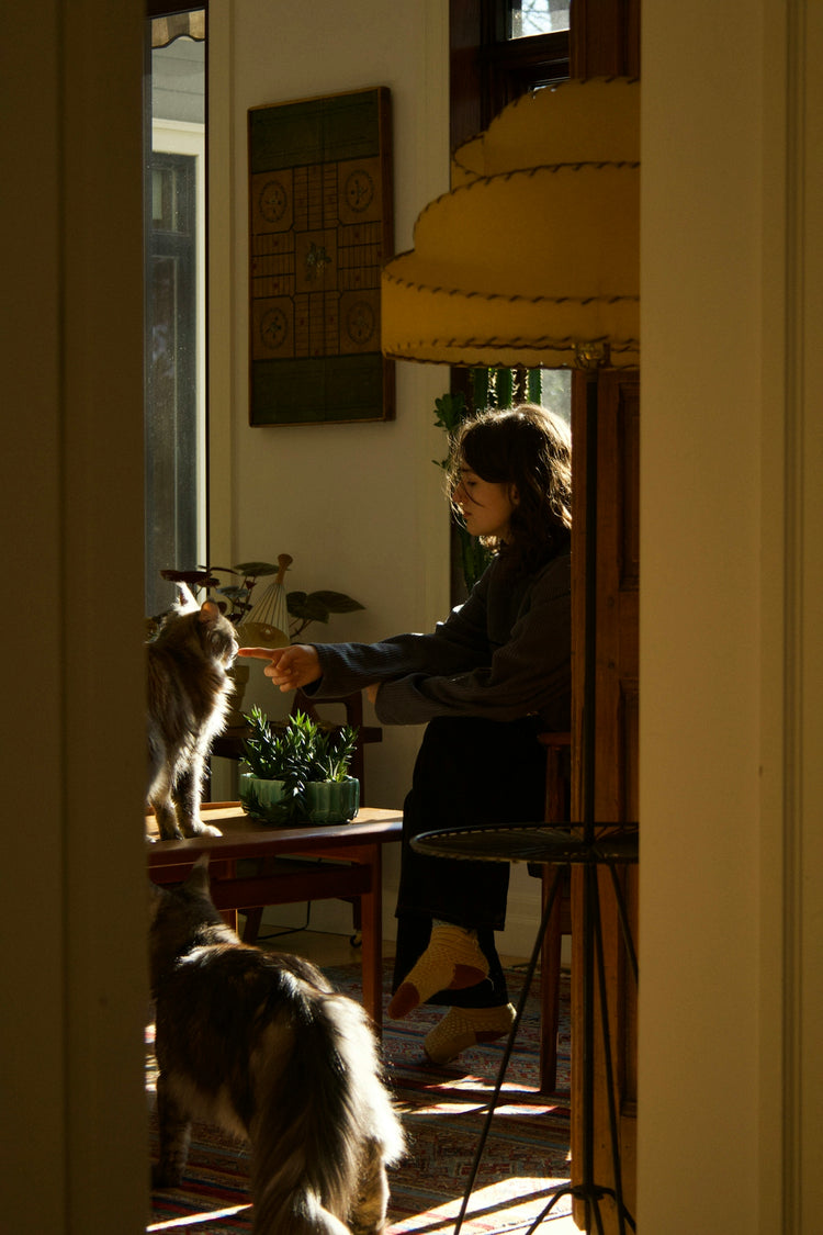 Kene ve Pire Önleme: Evcil Hayvanlarınızı Nasıl Korursunuz – Alpha-Tact